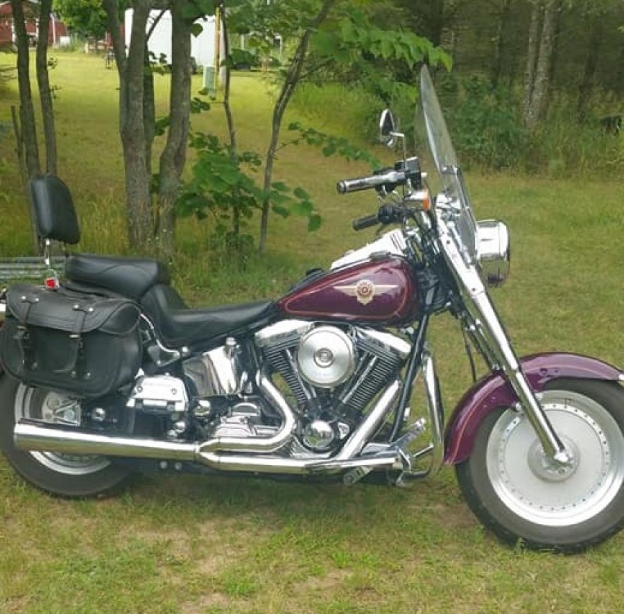 1998 Harley Davidson Fat Boy FLSTS | Grand Rapids Classifieds 48838 ...